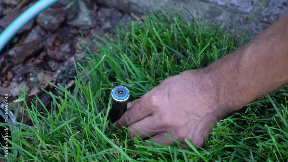 men's hands install a lawn watering system,grass turf,rolled green ...