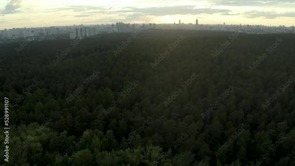 Takeoff drone over the forest. Take off over a thick forest. Transition ...