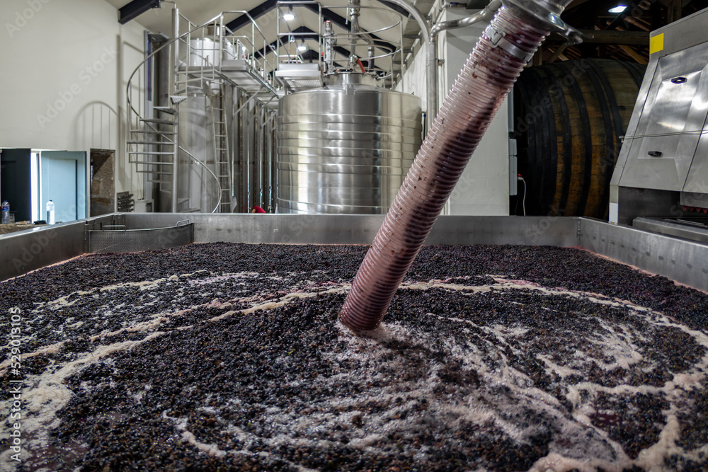 Lagar de vinho onde a uva já moída é trazida para este local para ...