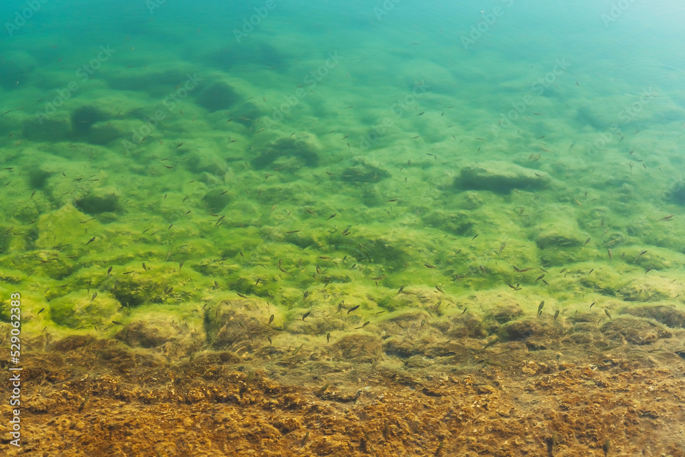 Foto de blue water in pamukkale natural pool. water oversaturated with ...
