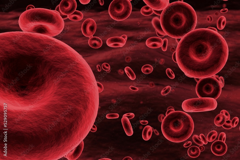 Red blood cells in human body Stock Illustration | Adobe Stock