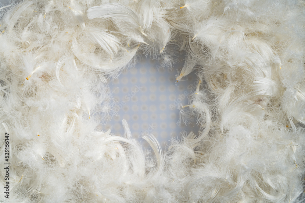 White fluffy bird feathers with round copy space, workspace, mockup and ...