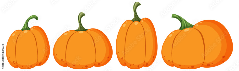 Set of different pumpkin shapes Stock Vector | Adobe Stock