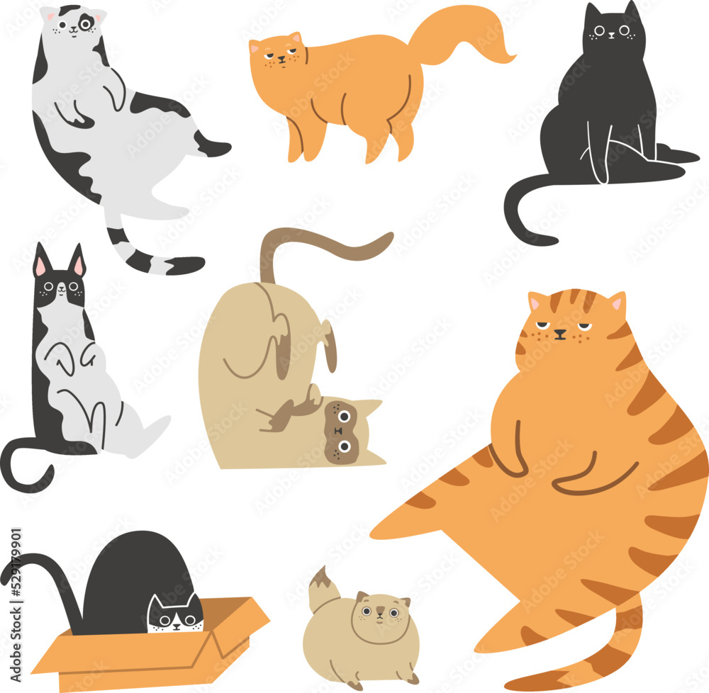 Cute vector illustration. Different cats on white background. Siamese ...