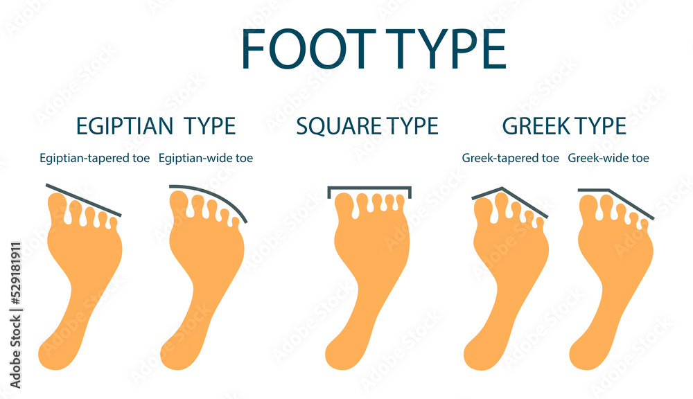 Anatomical shape of human toes. Footprint set. Humor illustration ...