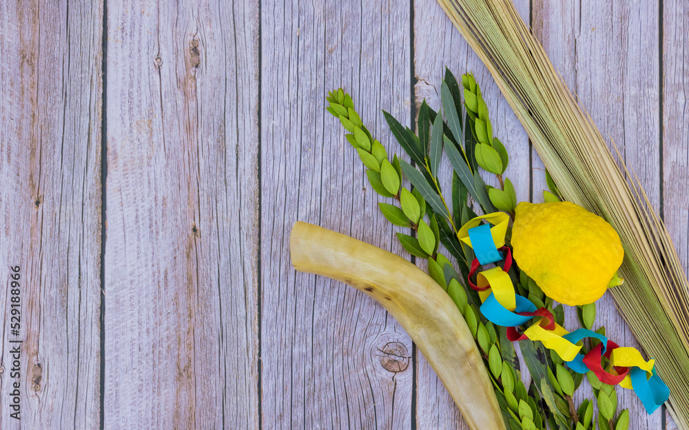 Religious festival tabernacles with etrog ritual citrus fruit, which is ...
