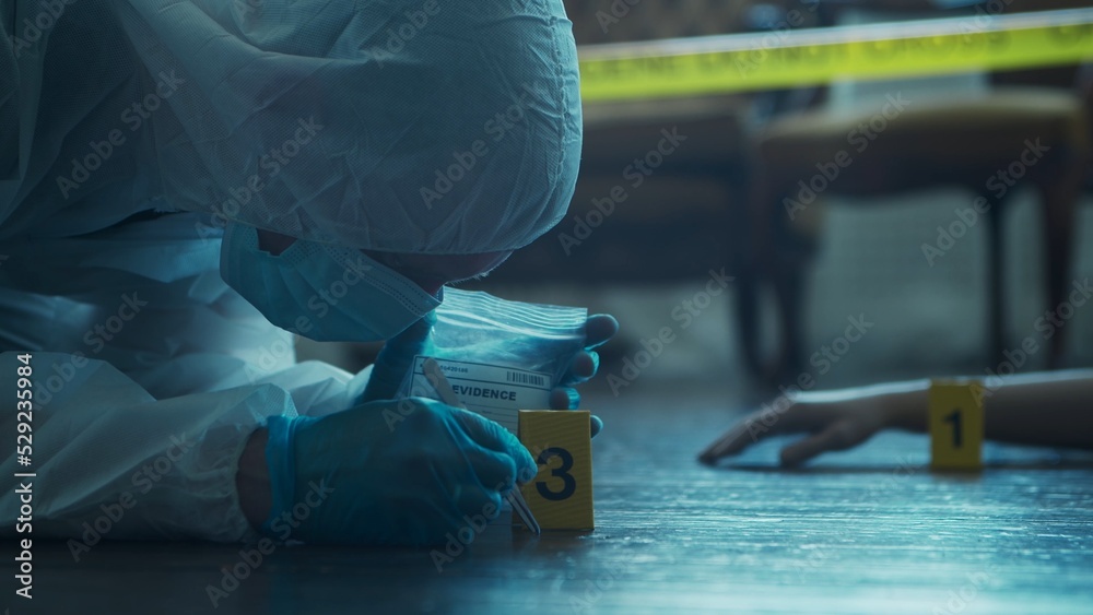 Detective Collecting Evidence in a Crime Scene. Forensic Specialists ...
