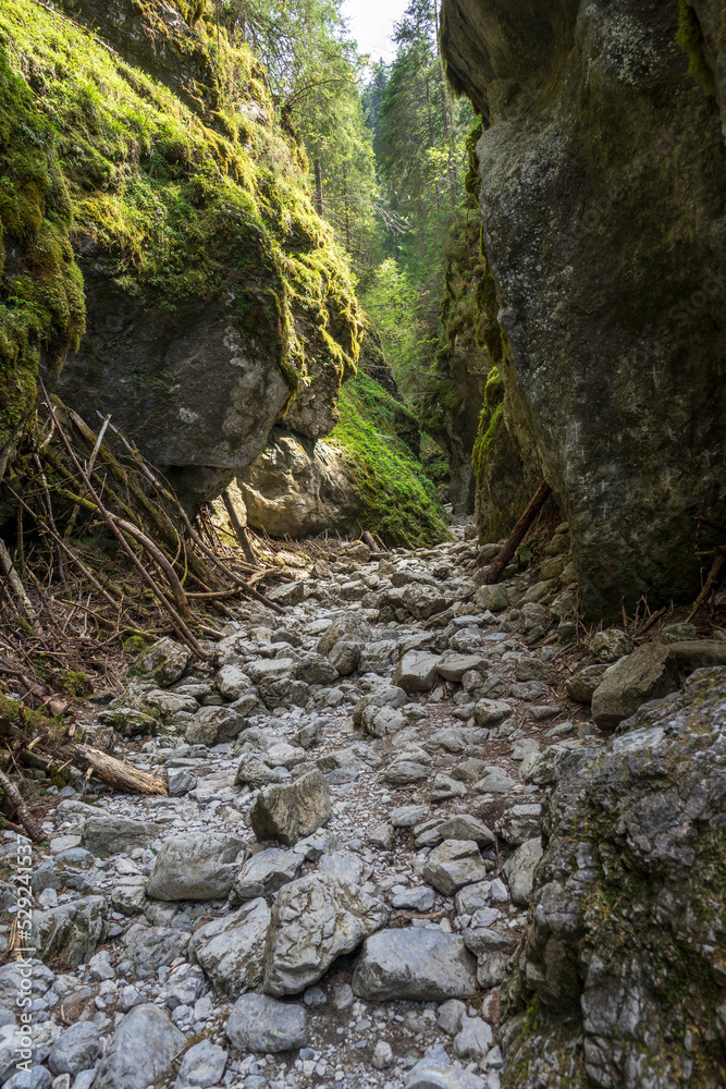 Cracow gorge - the most beautiful rock gorge of Polish Western Tatra ...