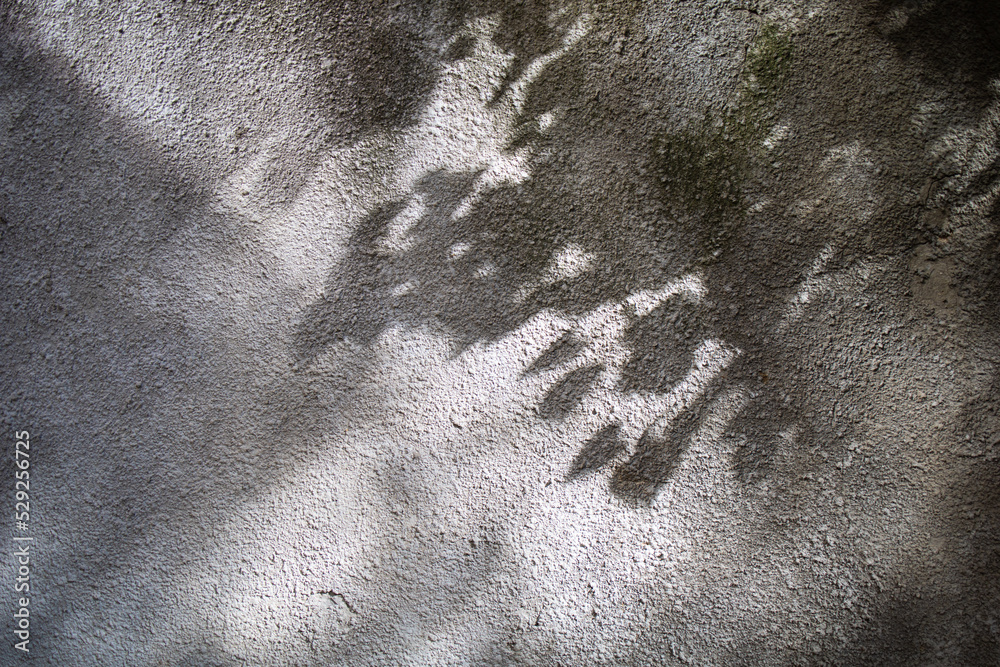 Foto de Abstract leaves gray shadow background with light bokeh ...