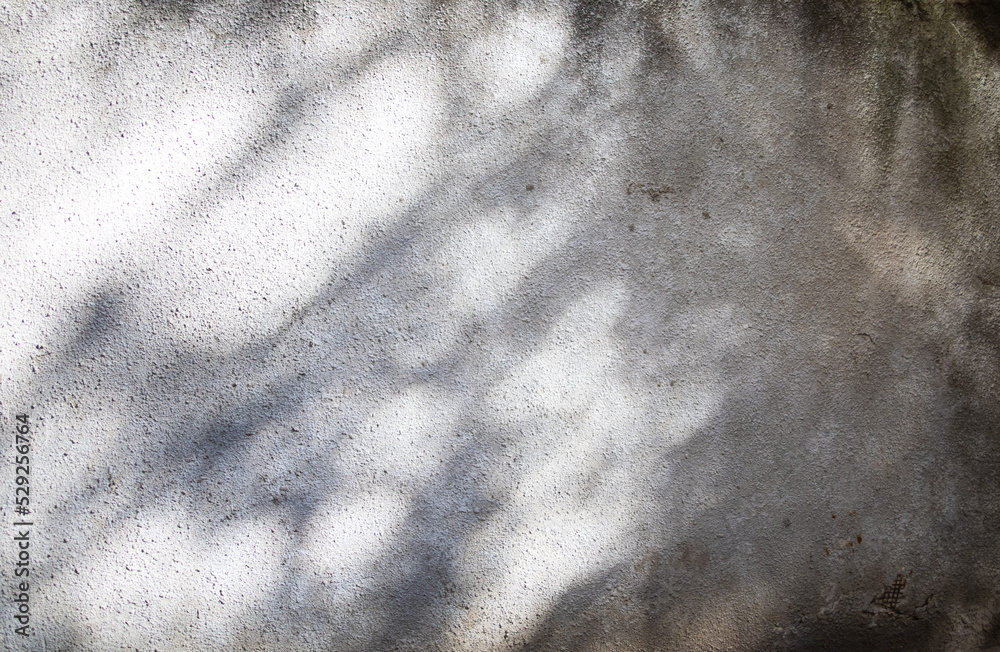 Abstract leaves gray shadow background with light bokeh, natural leaves ...