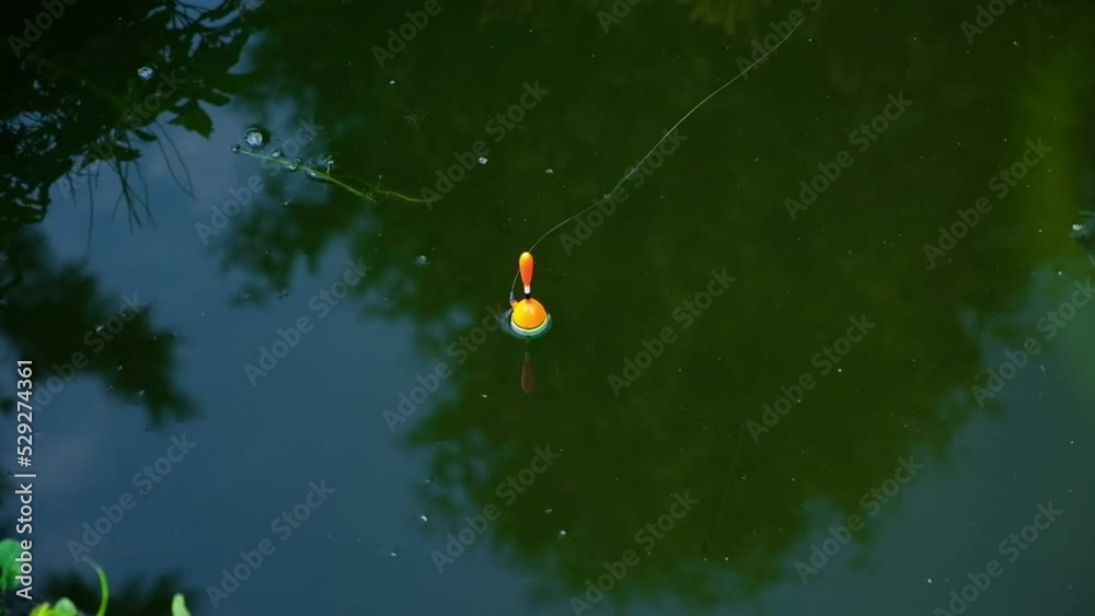 Float, fishing line in the lake surface. Fishing. Bright orange fishing ...