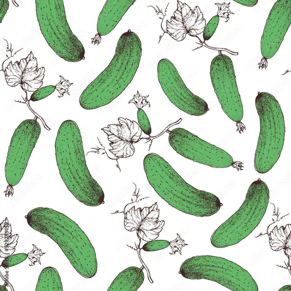 Cucumber seamless pattern. Hand drawn background. Vector illustration ...