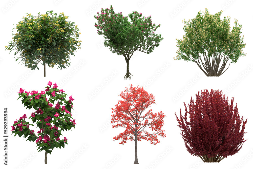 Pack of PNG vegetation. Flowering bushes. Made from 3D model for ...