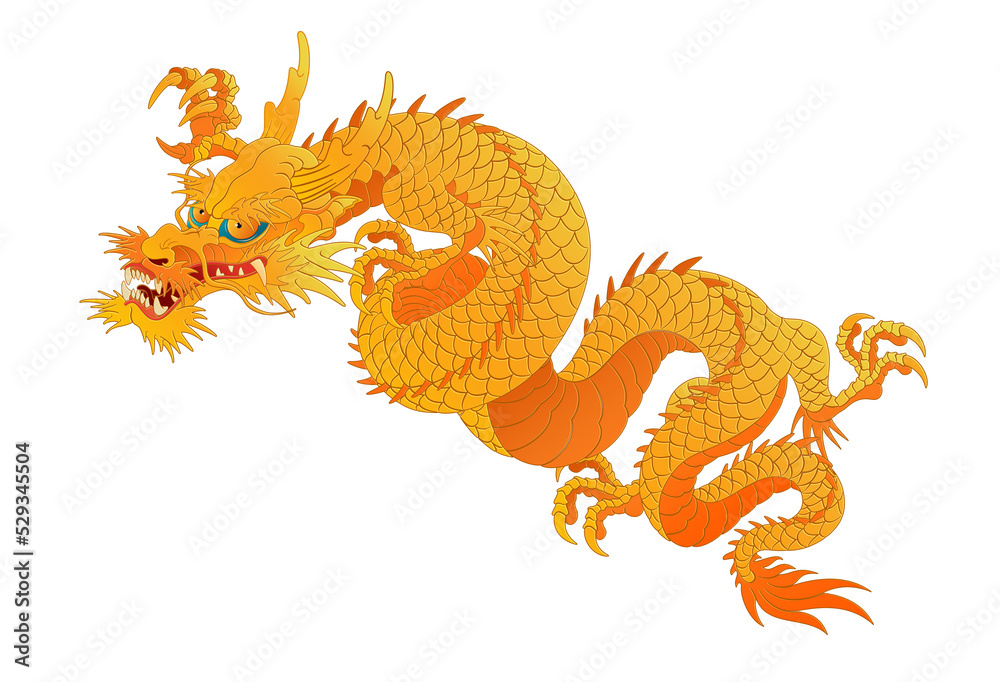 Oriental dragon color illustration Chinese Japanese Korean style ...