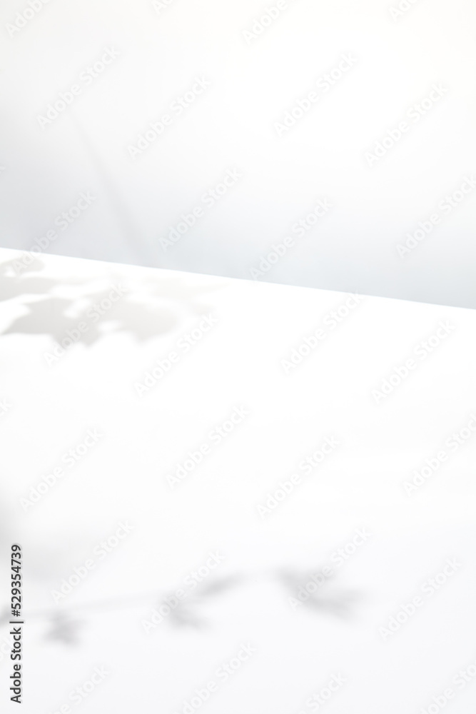 Light background with harsh shadows of tree branch. Aesthetic white ...