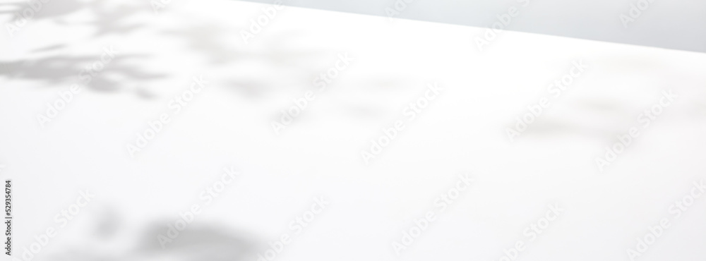 Light background with harsh shadows of tree branch. Aesthetic white ...