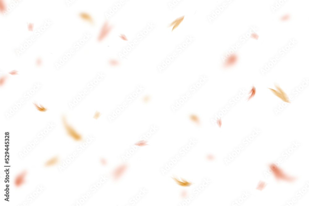 Poster Fliegende Blütenblätter als Overlay png freigestellt – Wall Art ...