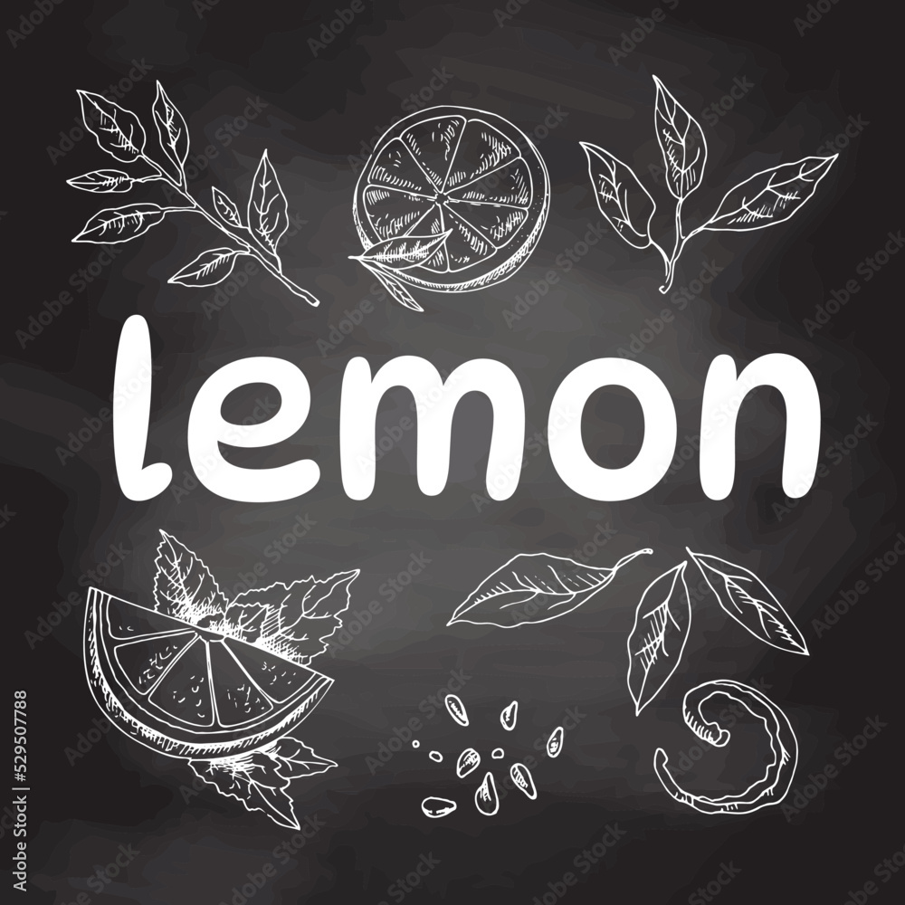 Vector hand drawn lemon set. Sliced pieces, half, leaf, peel, seed and ...