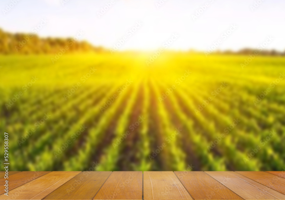 Stockfoto Wooden table top on blur rice field background in daytime ...