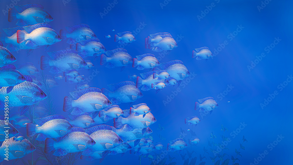 Flocks of fish swim in groups, the underwater circle is shining down ...