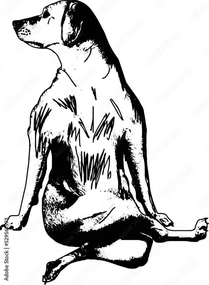 Dog yoga black and white line art vector silhouette, Dog yoga sketch ...