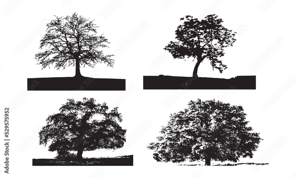 Detailed tree silhouettes , Set of silhouettes of dry bare trees ...
