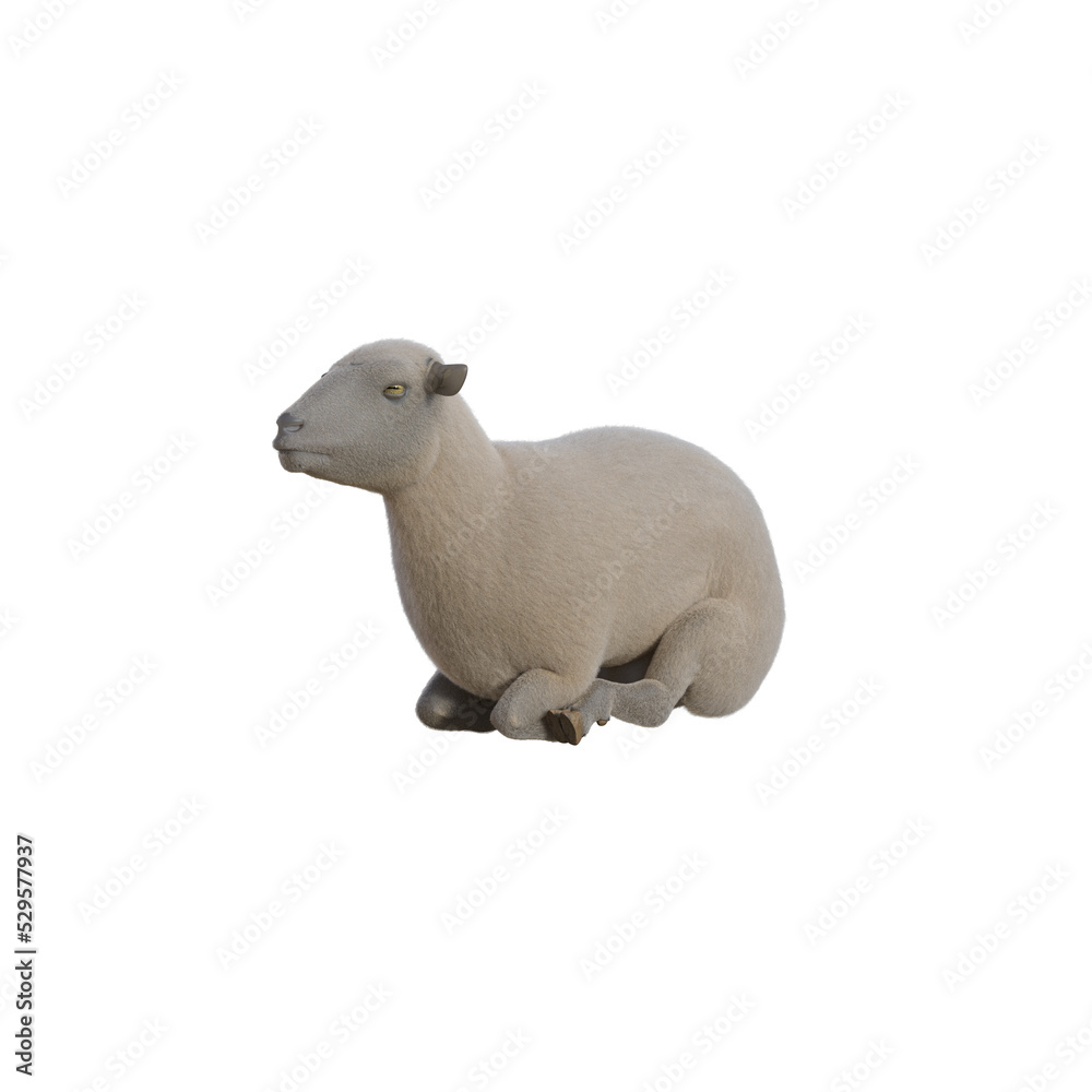 Sheep photorealistic in different poses on transparent background. 3D ...