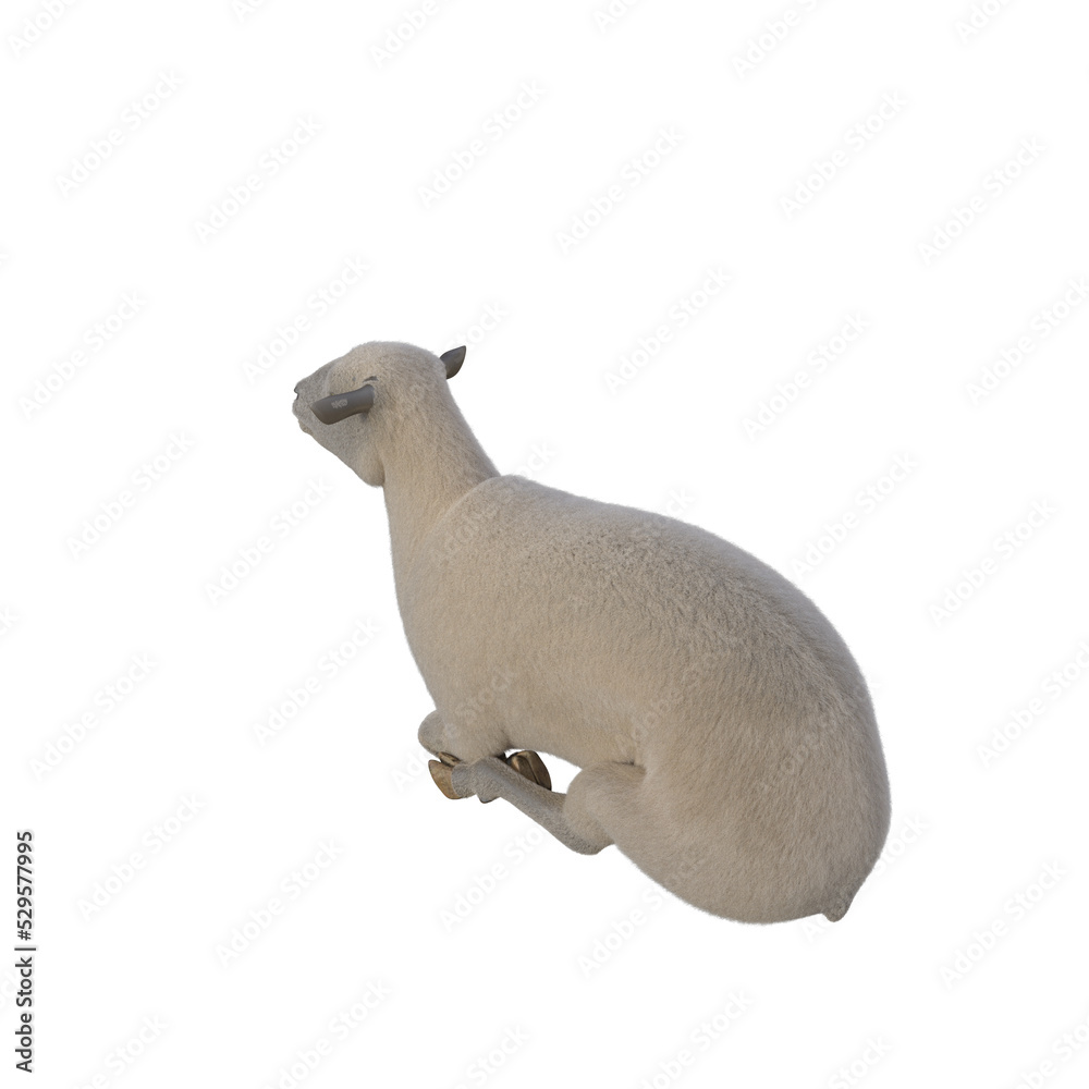Sheep photorealistic in different poses on transparent background. 3D ...