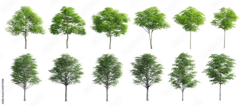 ภาพประกอบสต็อก Collection Beautiful 3D Trees Isolated on PNGs ...