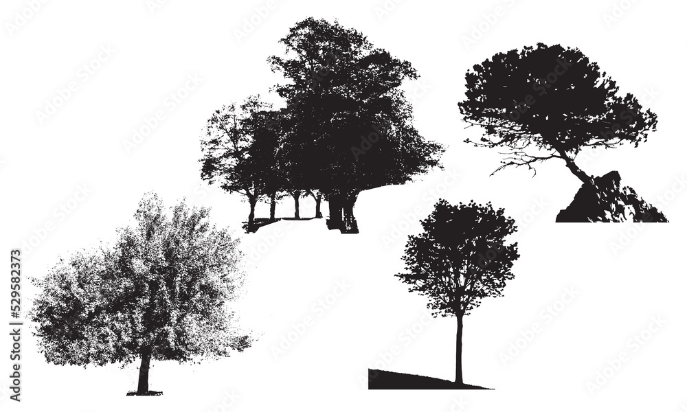 Detailed tree silhouettes , Set of silhouettes of dry bare trees ...