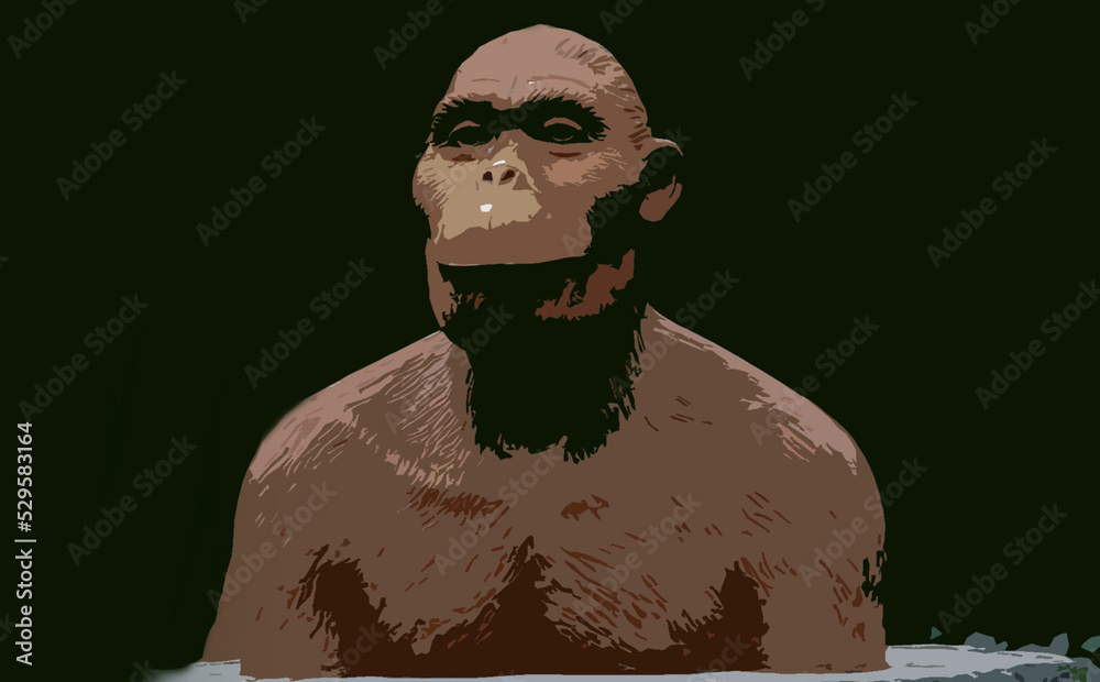 Computer graphic representation of extinct species Australopithecus. It ...