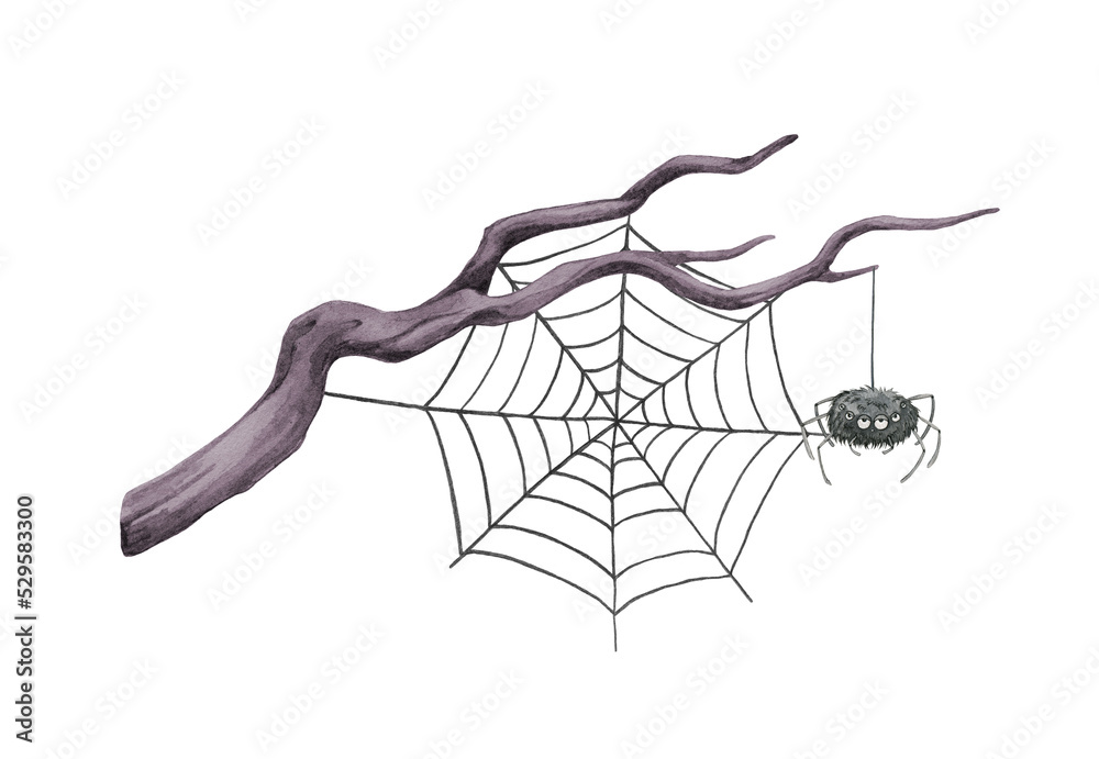 Dry tree branch with spider web. Watercolor illustration. Hand drawn ...