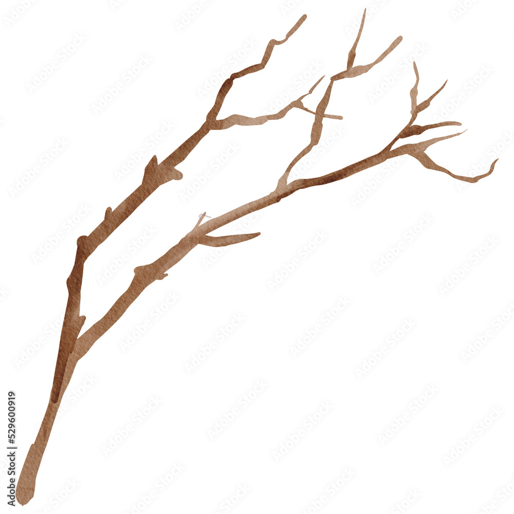 Tree Branch Twig Clipart PNG Stock Illustration | Adobe Stock