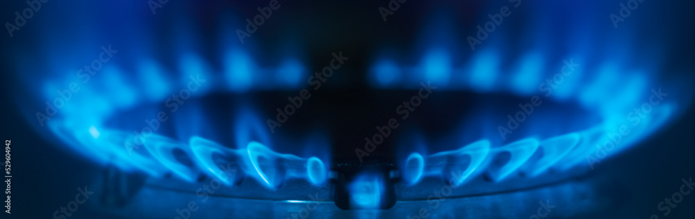 Close-up natural gas flame. Gas flame on dark background. Blue flames ...