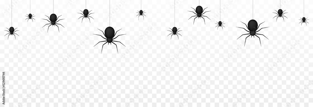 Vector spiders on an isolated transparent background. Background with ...