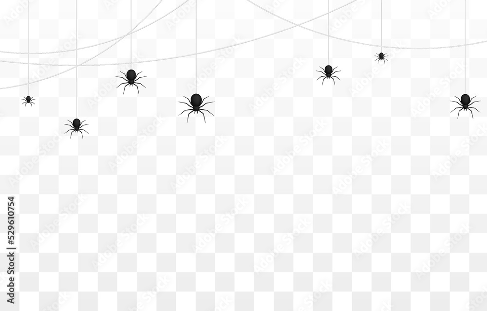 Vector spiders on an isolated transparent background. Background with ...