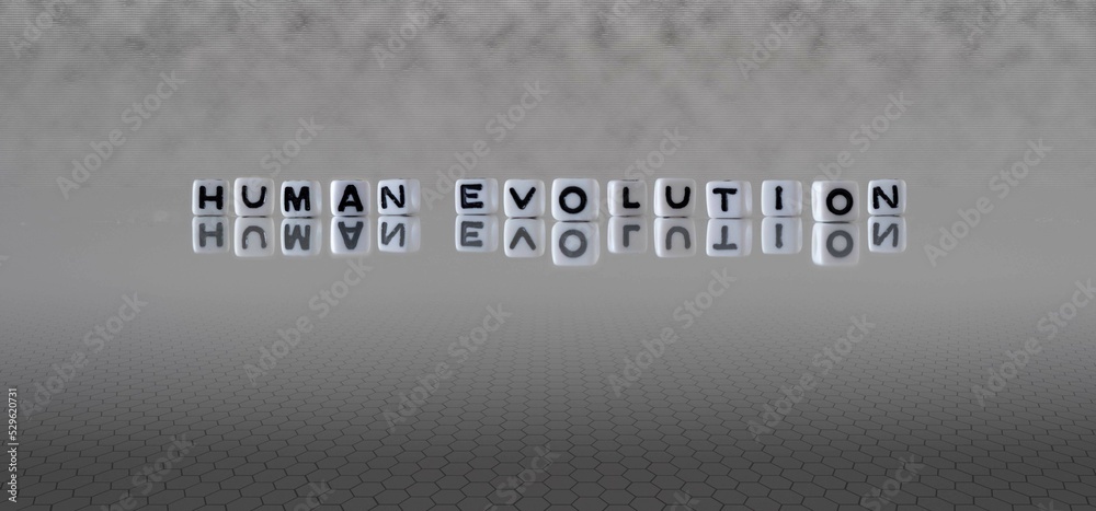 human evolution word or concept represented by black and white letter ...
