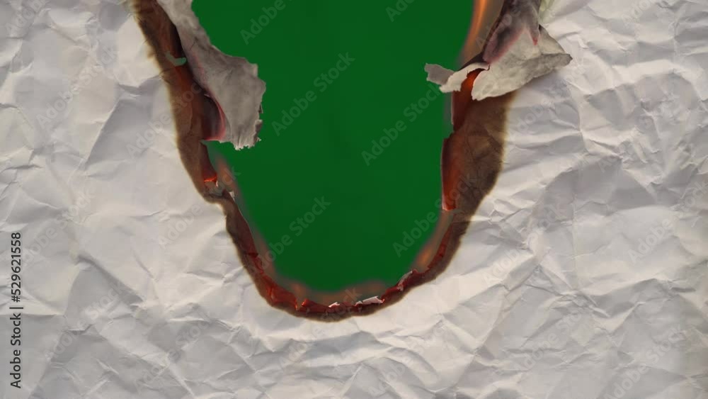 White paper burns from above on a green background copy space. The ...