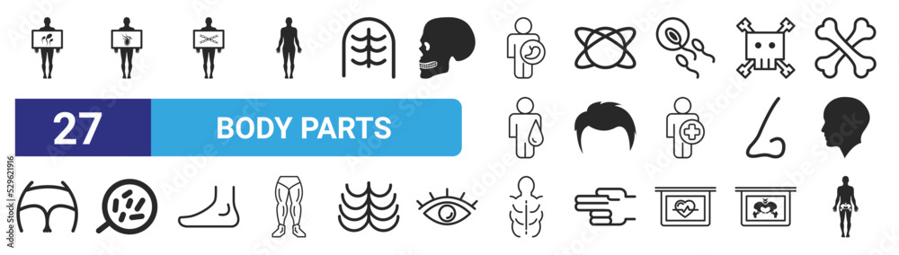 set of 27 outline web body parts icons such as male, male, standing man ...