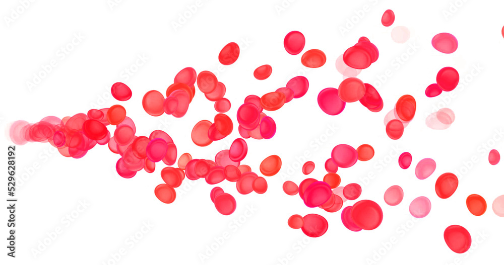 blood cells, erythrocytes, red blood cells, microbes and microorganisms ...