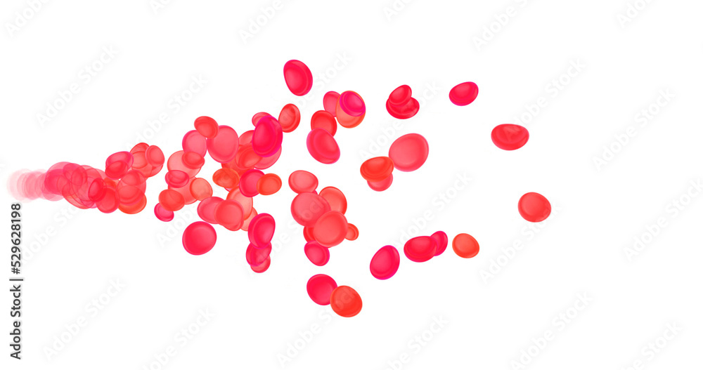 blood cells, erythrocytes, red blood cells, microbes and microorganisms ...