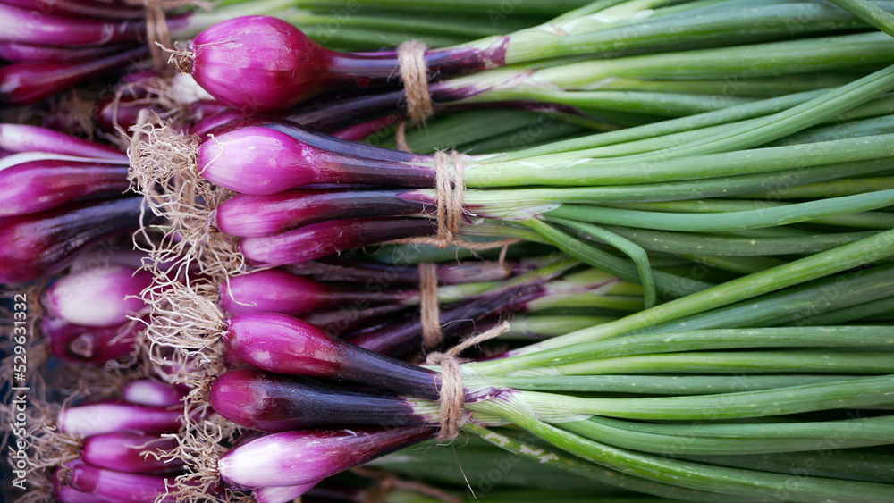 Onion purple red harvest fresh ripe harvesting market shop spring ...