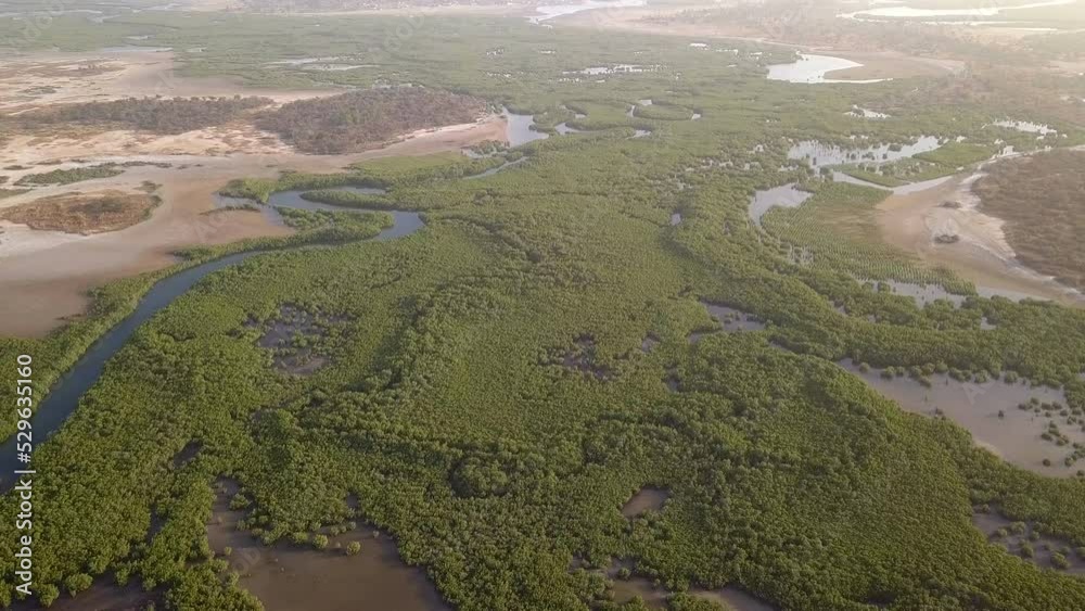 Aerial footage of Saloum river delta fringed with mangroves, sandy ...
