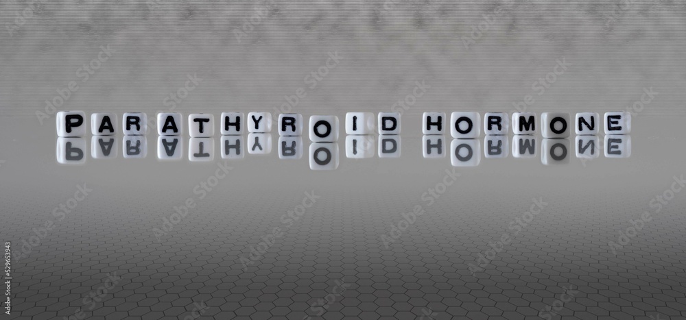 parathyroid hormone word or concept represented by black and white ...