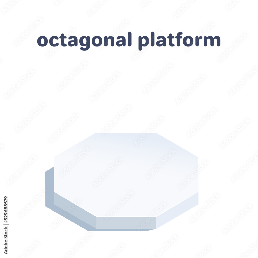 isometric vector illustration isolated on white background, octagonal ...