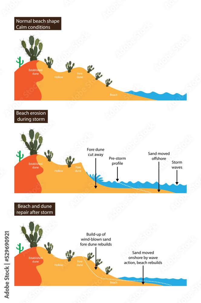 illustration of physics, Beach erosion during storm, Beach and dune ...