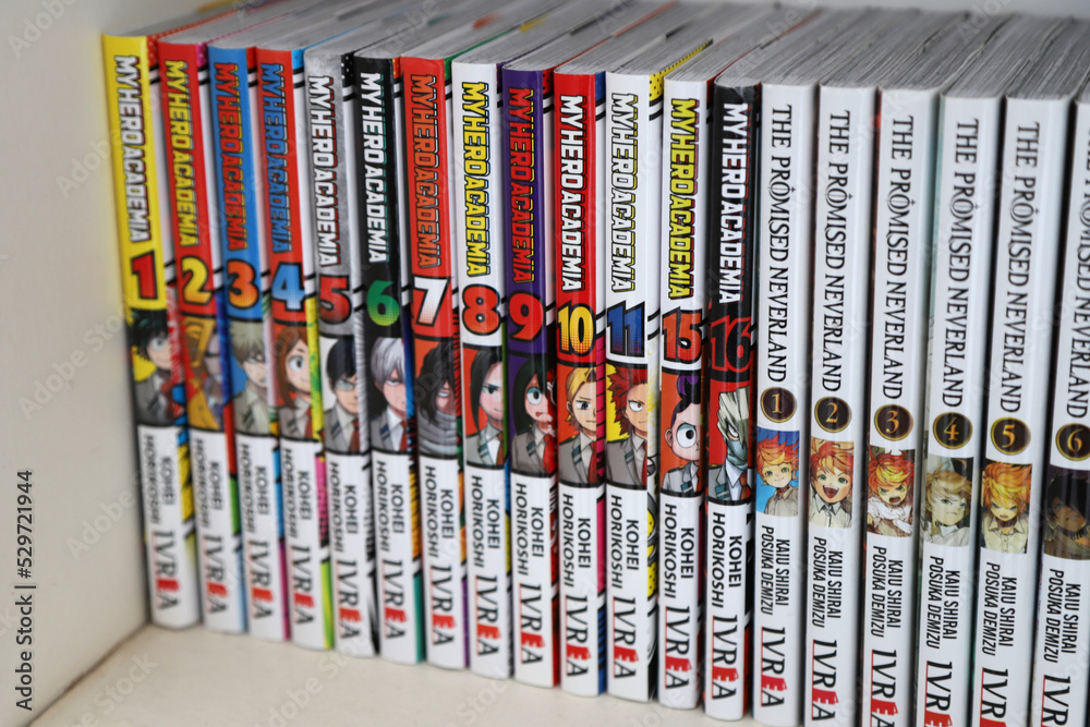 Anime. Library of japanese manga. Books My Hero Academy, The promised ...