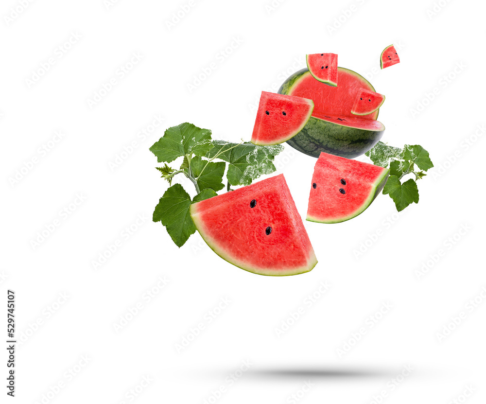 Water splash on watermelon with leaves isolated on transparent ...