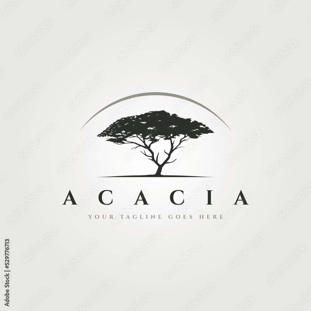 acacia tree logo vintage vector symbol illustration design, old tree ...