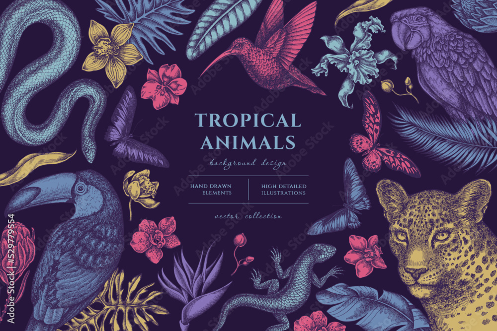 Tropical animals hand drawn illustration design. Background with ...